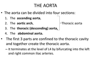 theaorta-180612135504.pdf