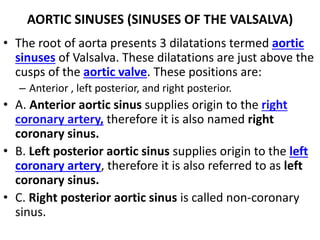 theaorta-180612135504.pdf