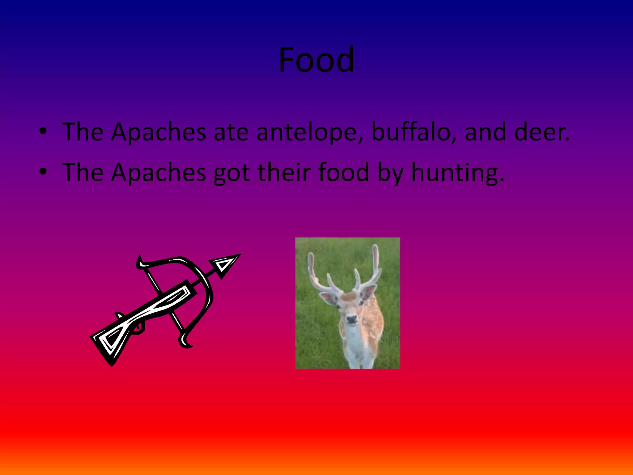 The Apache Tribe | PPTX