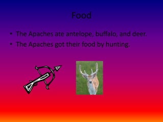 The Apache Tribe | PPTX