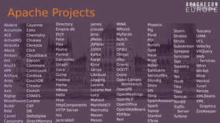 The Apache Way | PDF