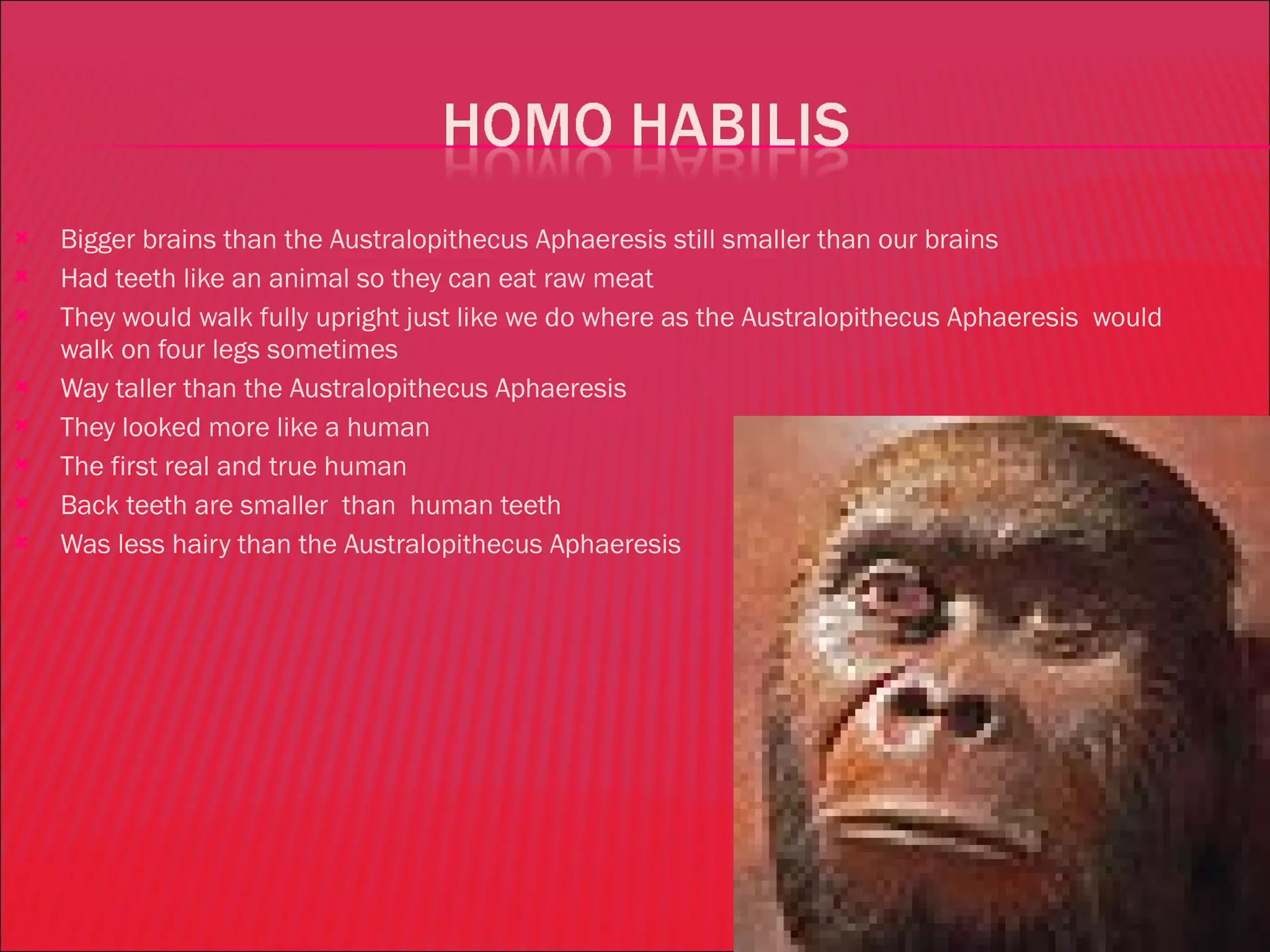 The appearances of the hominids | PPT