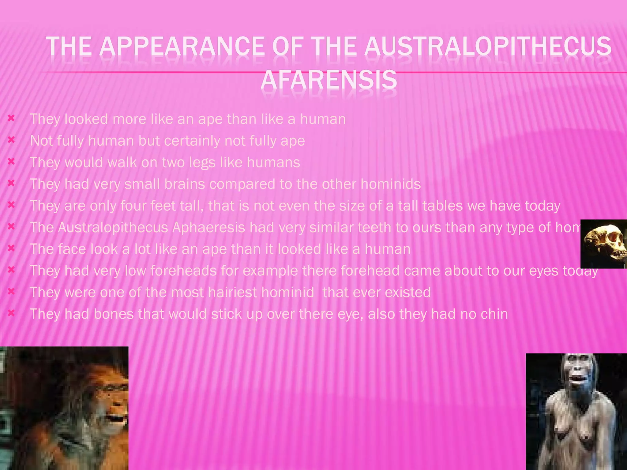 The appearances of the hominids important | PPT | Large Animals | Pets