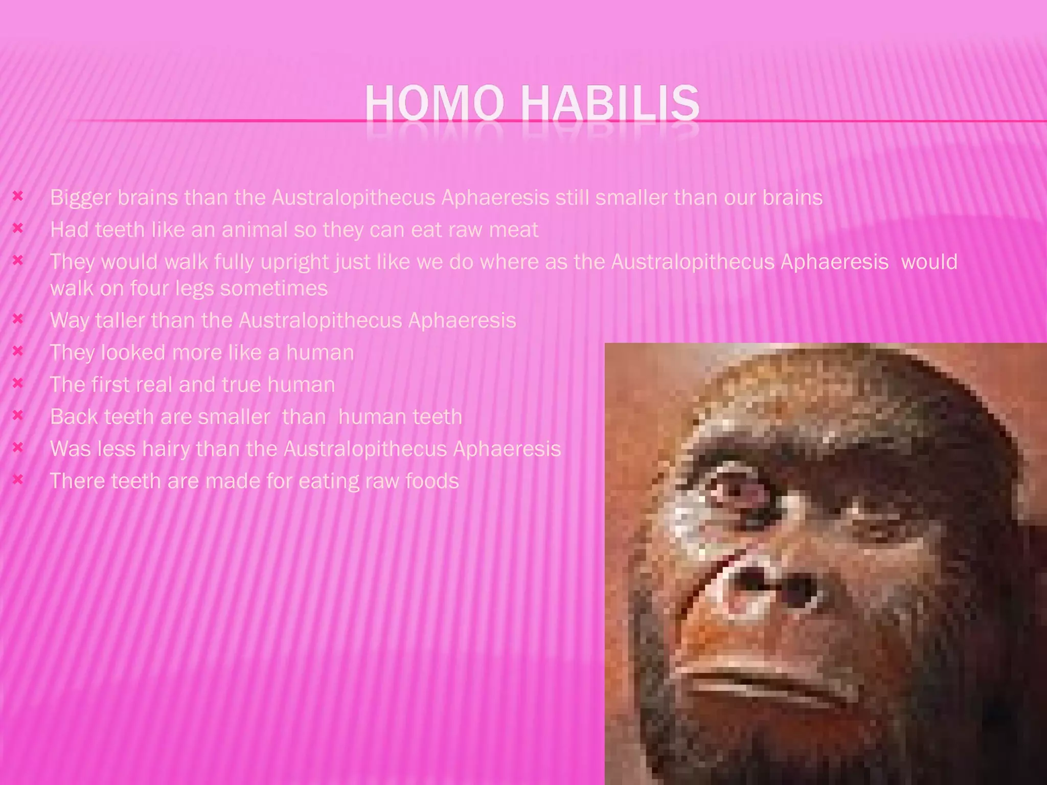 The appearances of the hominids important | PPT | Large Animals | Pets