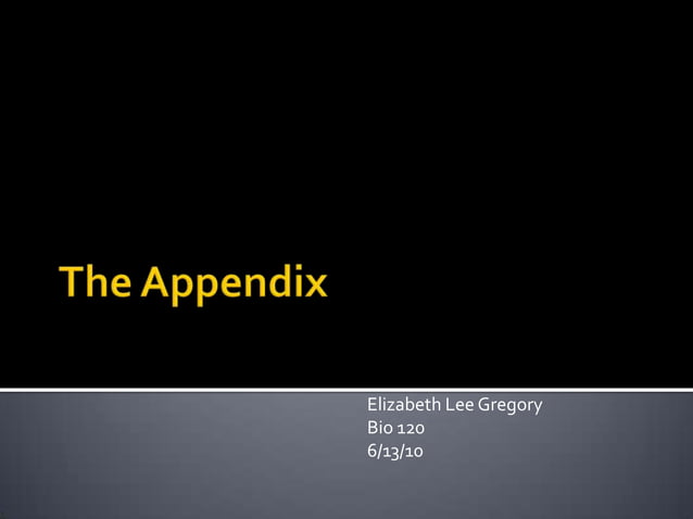 The appendix | PPTX