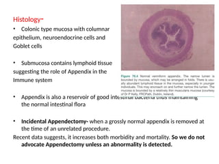 THE_APPENDIX - management of appendicitis.pptx