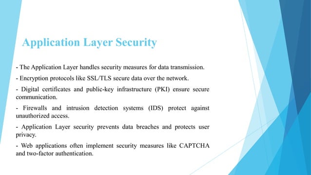 The Application Layer .pdf