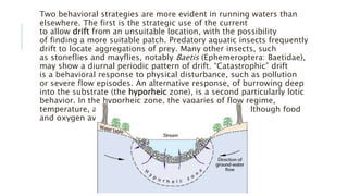The Aquatic Environment 10.4 Entomology | PPTX