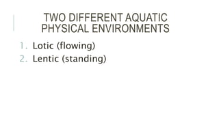 The Aquatic Environment 10.4 Entomology | PPTX