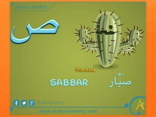 The Arabic Alphabet. | PPTX