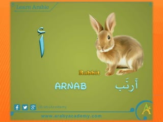 The Arabic Alphabet. | PPTX