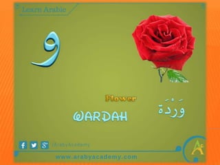 The Arabic Alphabet. | PPTX