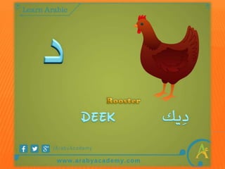 The Arabic Alphabet. | PPTX