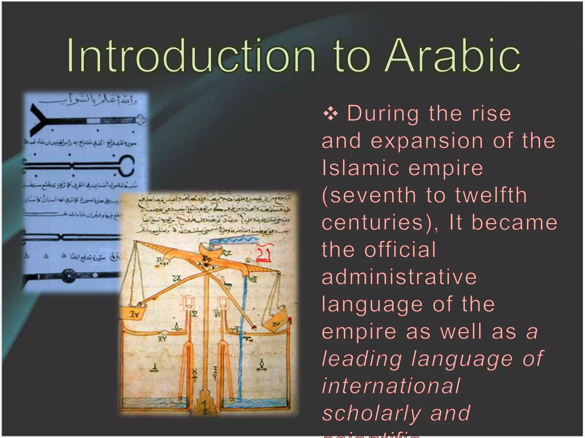 The Arabic Language | PPTX
