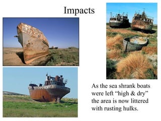 The aralsea | PPT