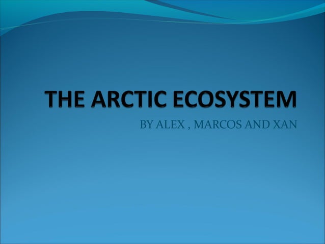 The arctic ecosystem | PPT | Polar Travel | Travel Locations