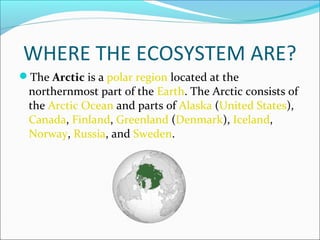 The arctic ecosystem | PPT