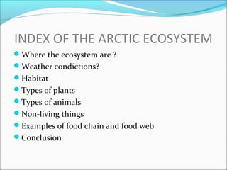 The arctic ecosystem | PPT