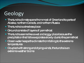 The Arctic Tundra | PPT