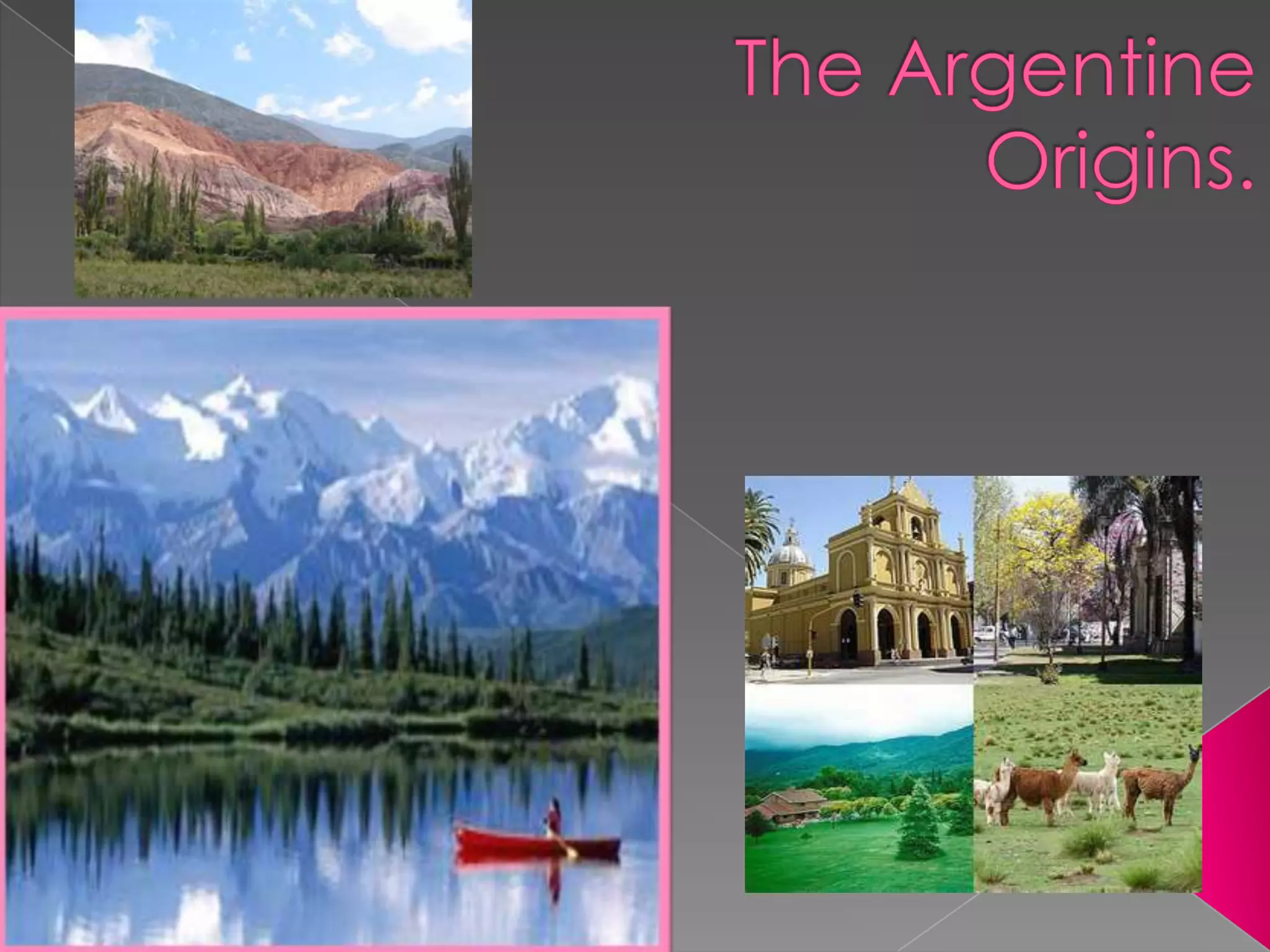 The argentine | PPT