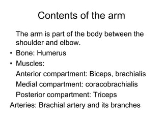 the arm.ppt