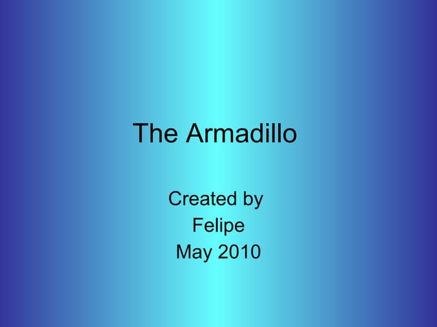 The armadillo | PPT