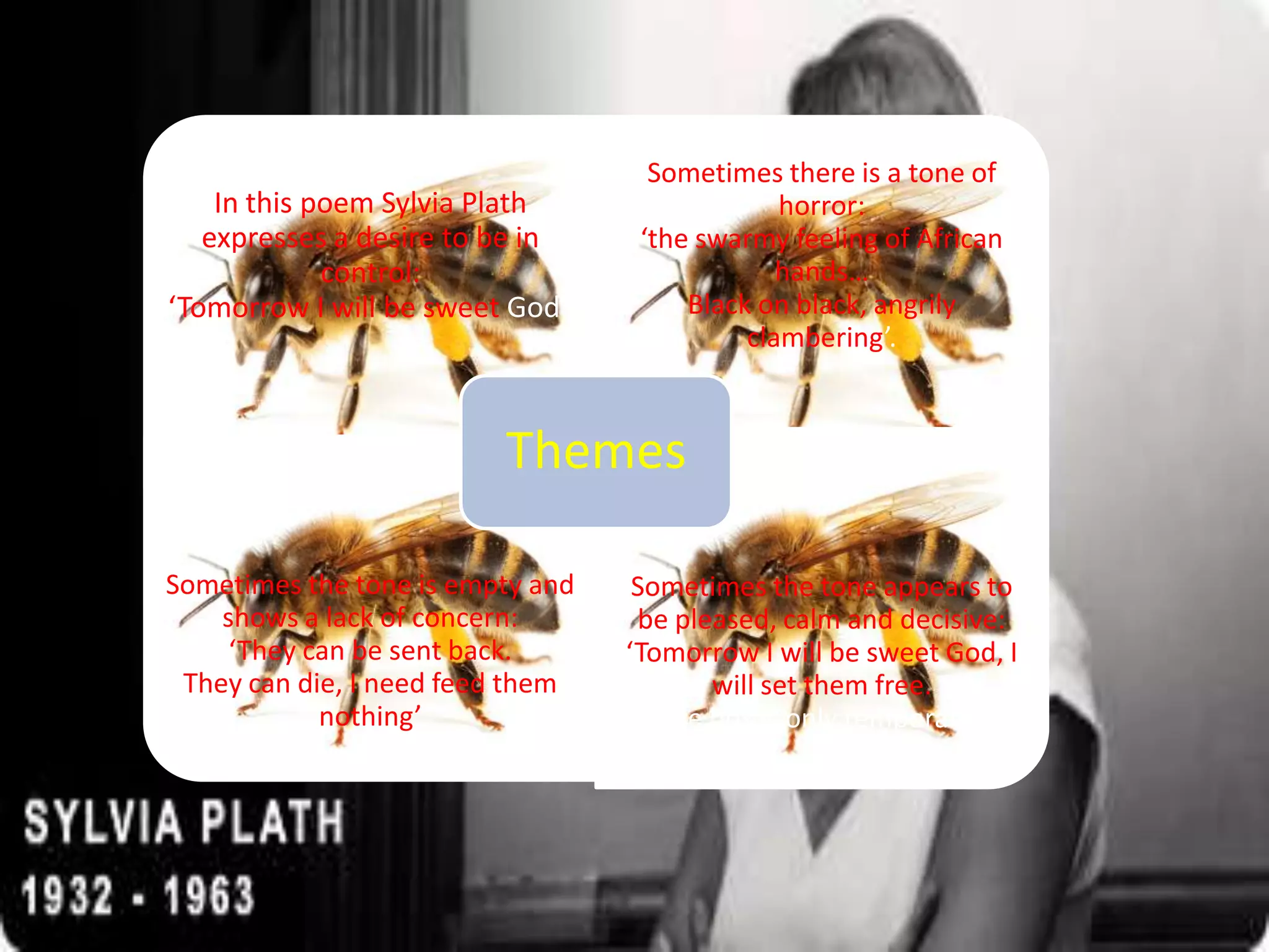 The arrival of the bee box | PPTX