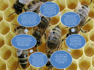 The arrival of the bee box | PPTX
