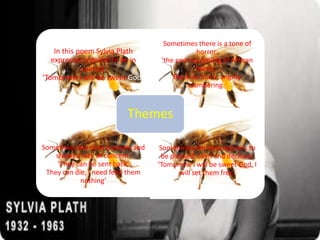 The arrival of the bee box | PPTX