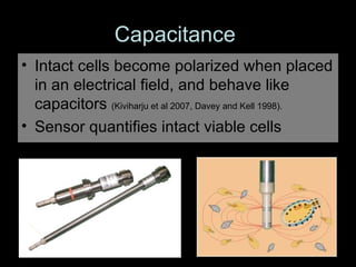 The Art And Science | PPT