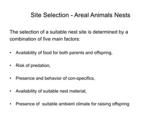 The art and science of animal architects | PPTX