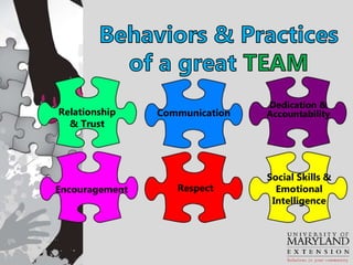 The Art and Science of Teamwork in Extension | PPTX