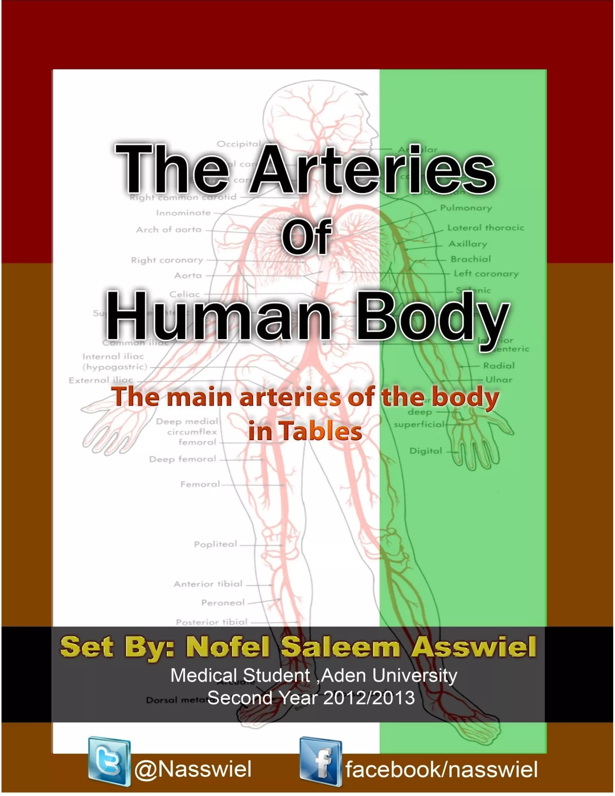 The arteries of human body | PDF