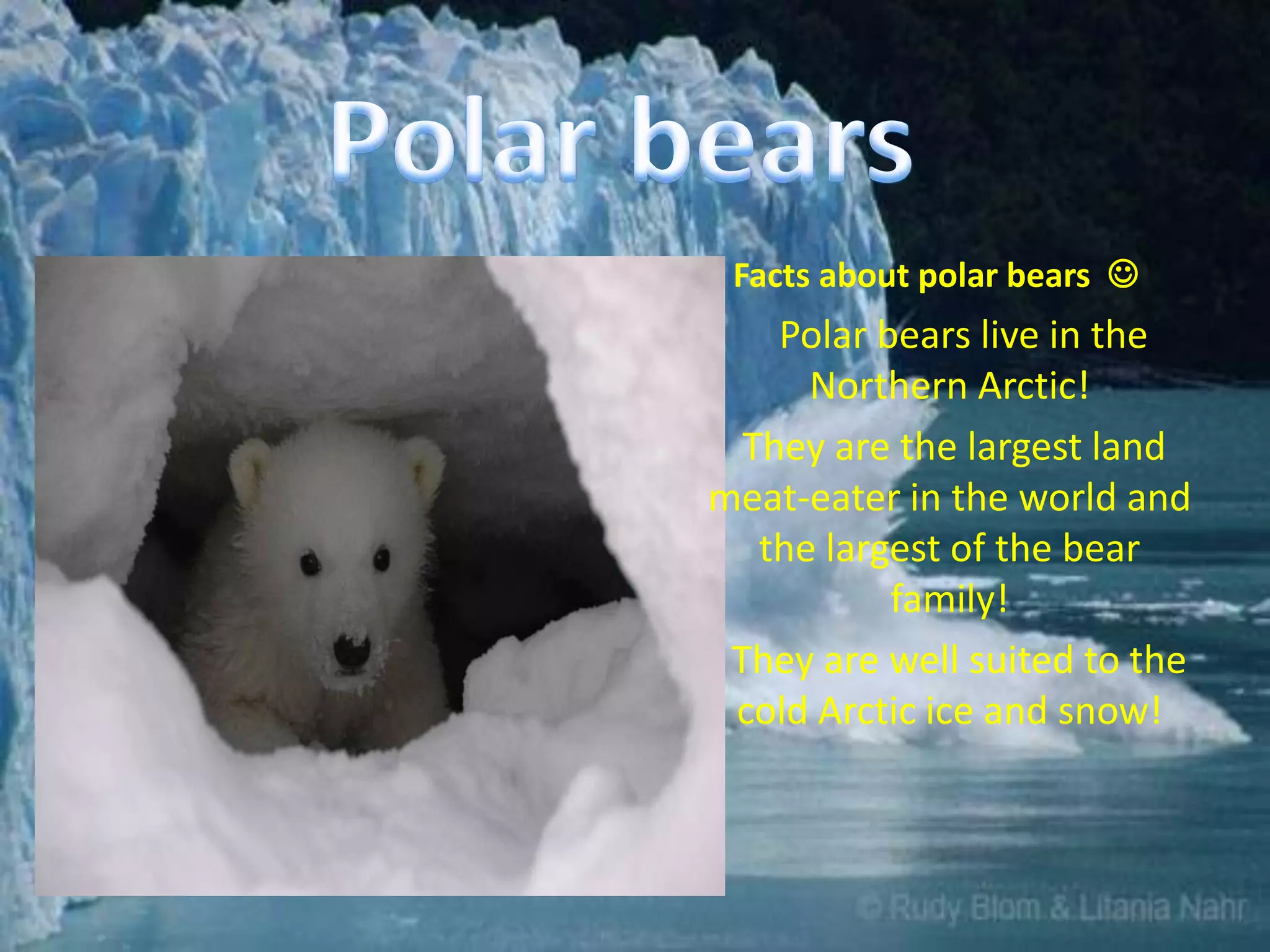 The artic presentation | PPTX