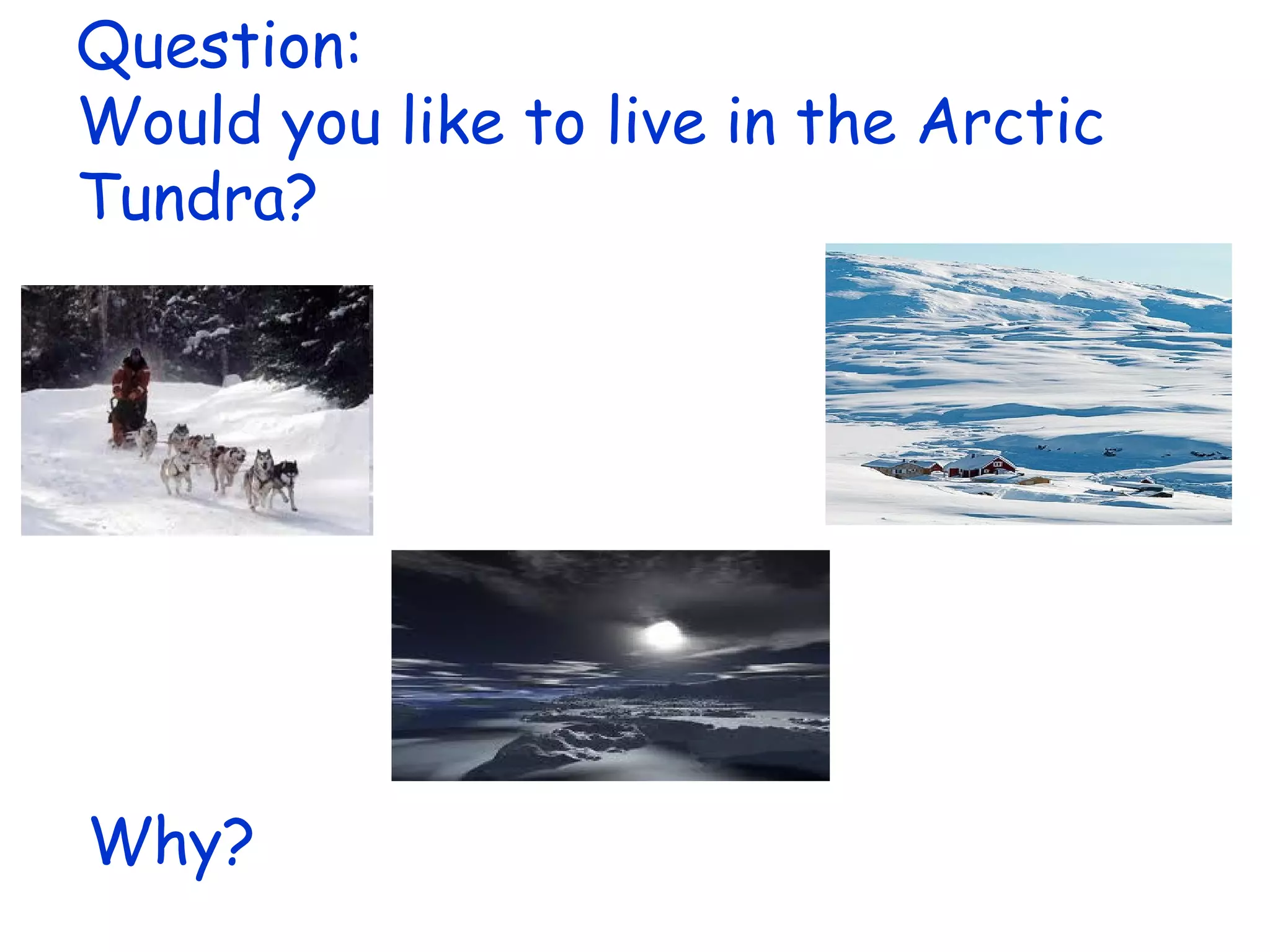 The artic tundra | PPT