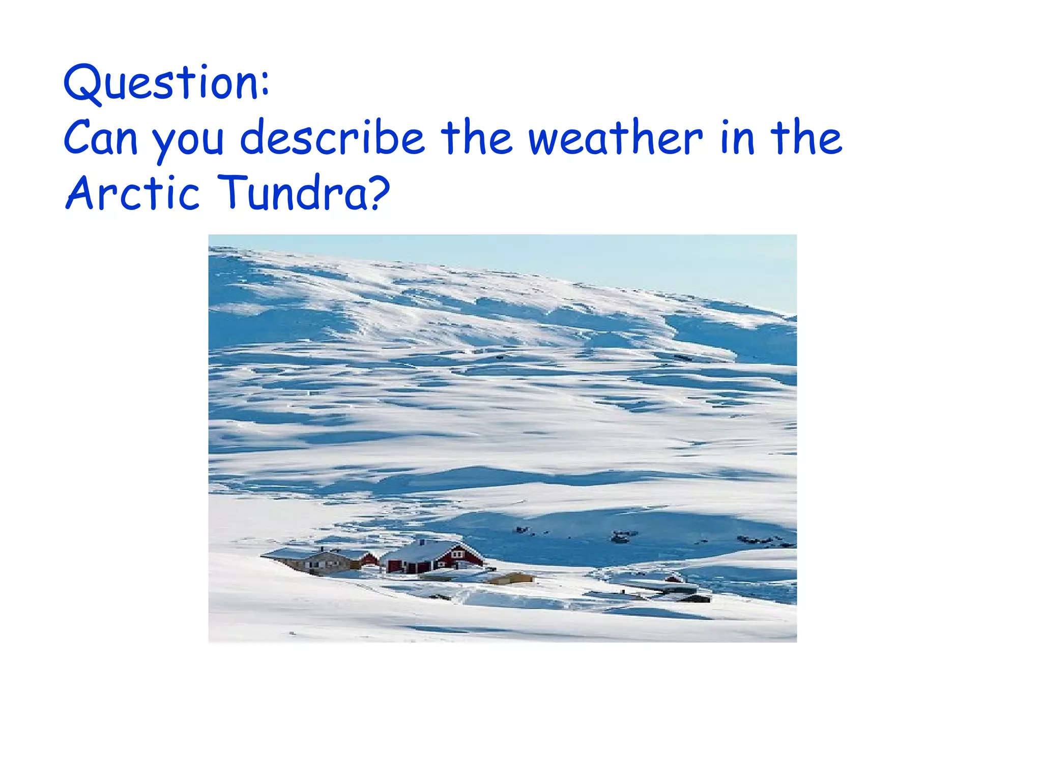 The artic tundra | PPT