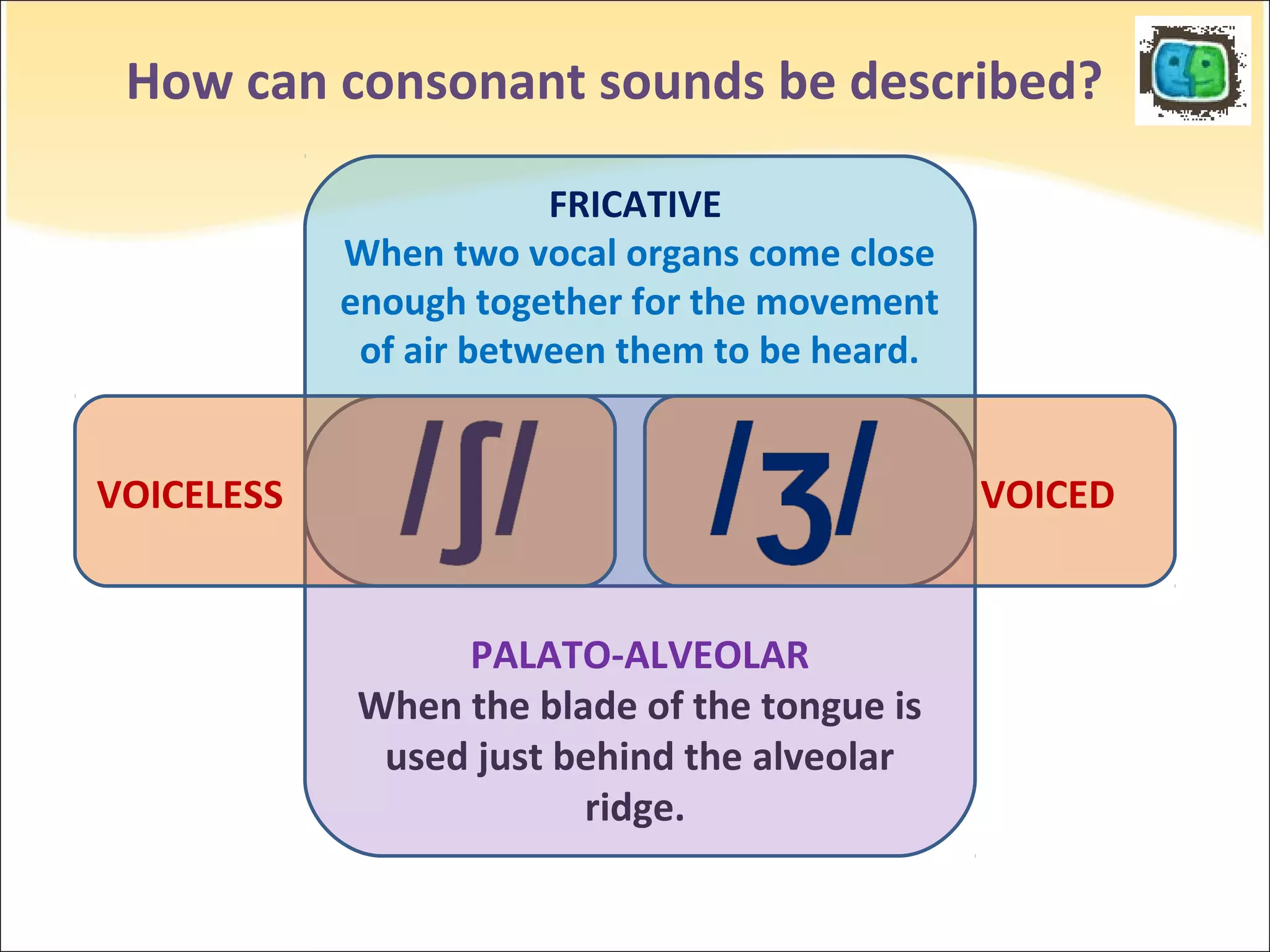 The articulation of consonant sounds | PPT