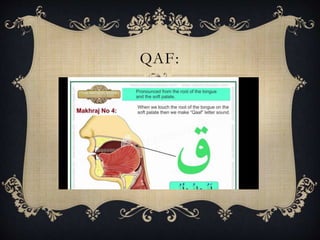 The articulation points of the arabic alphabet part3 | PPTX