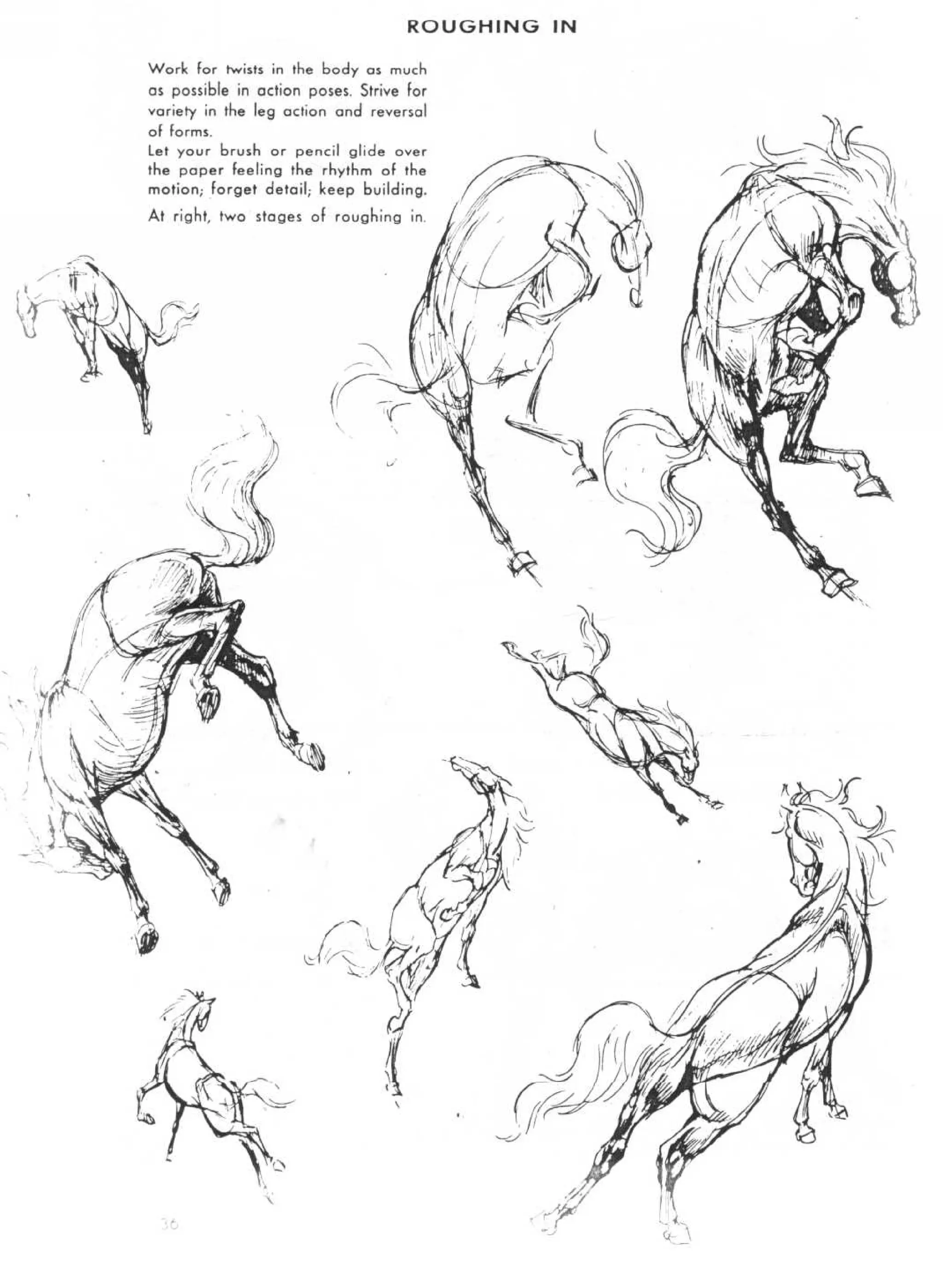 The art of_animal_drawing | PDF