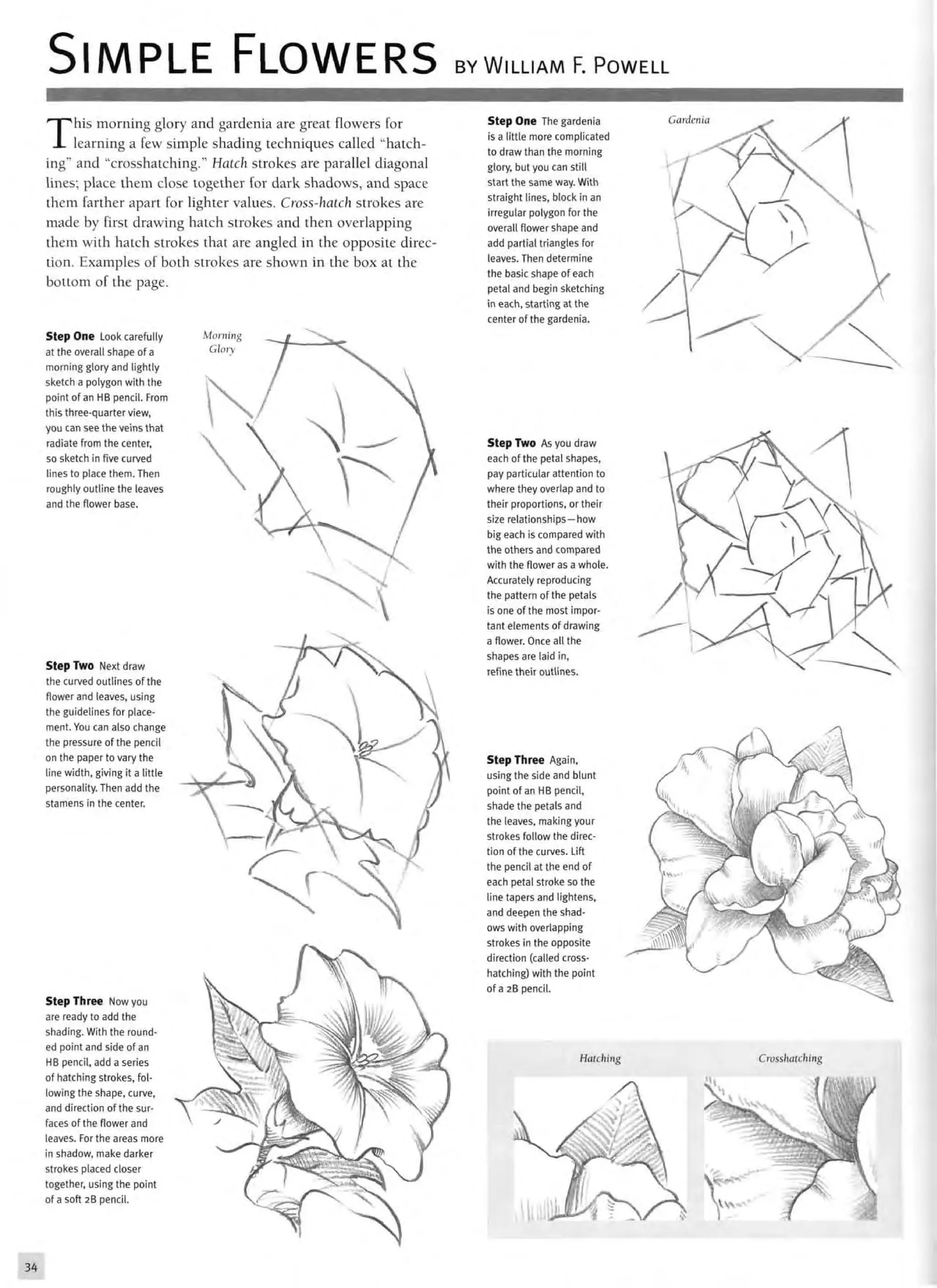 The art of basic drawing | PDF | Drawing and Sketching | Arts and Crafts