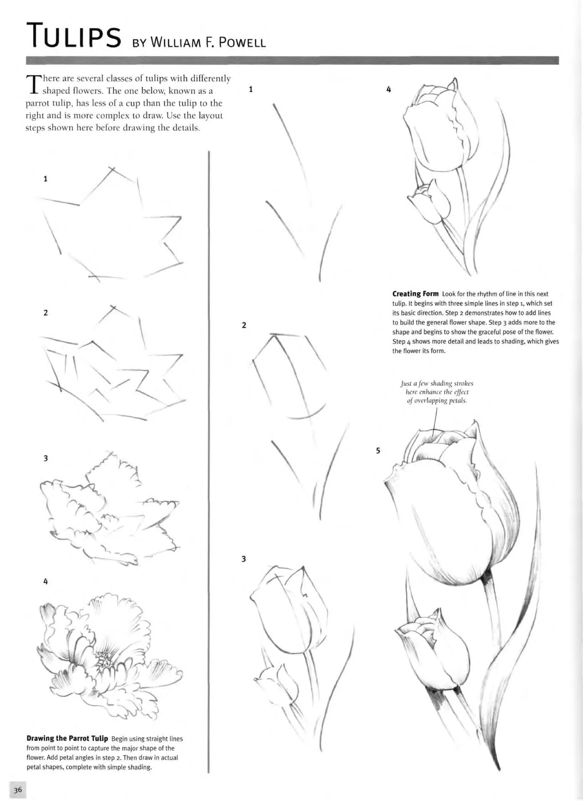 The art of basic drawing | PDF | Drawing and Sketching | Arts and Crafts