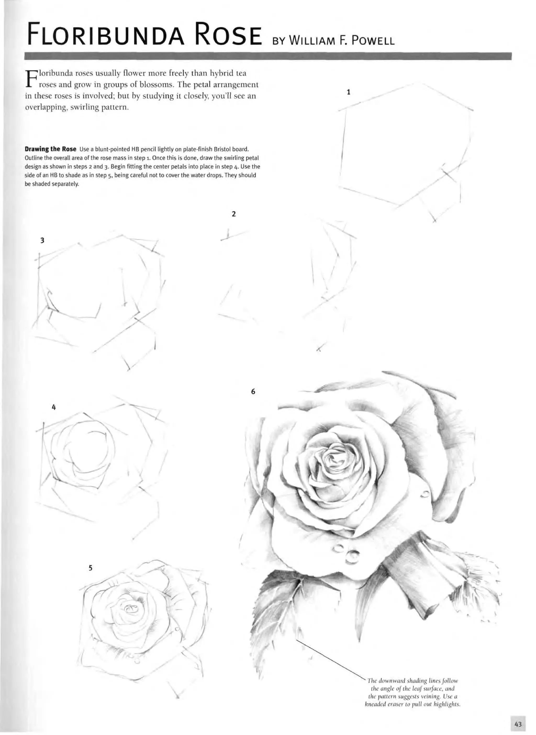 The art of basic drawing | PDF | Drawing and Sketching | Arts and Crafts