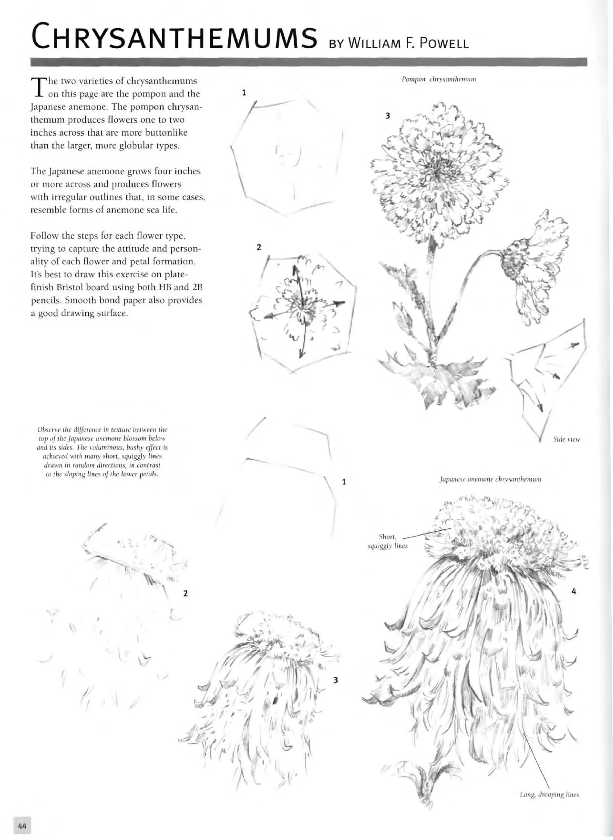 The art of basic drawing | PDF