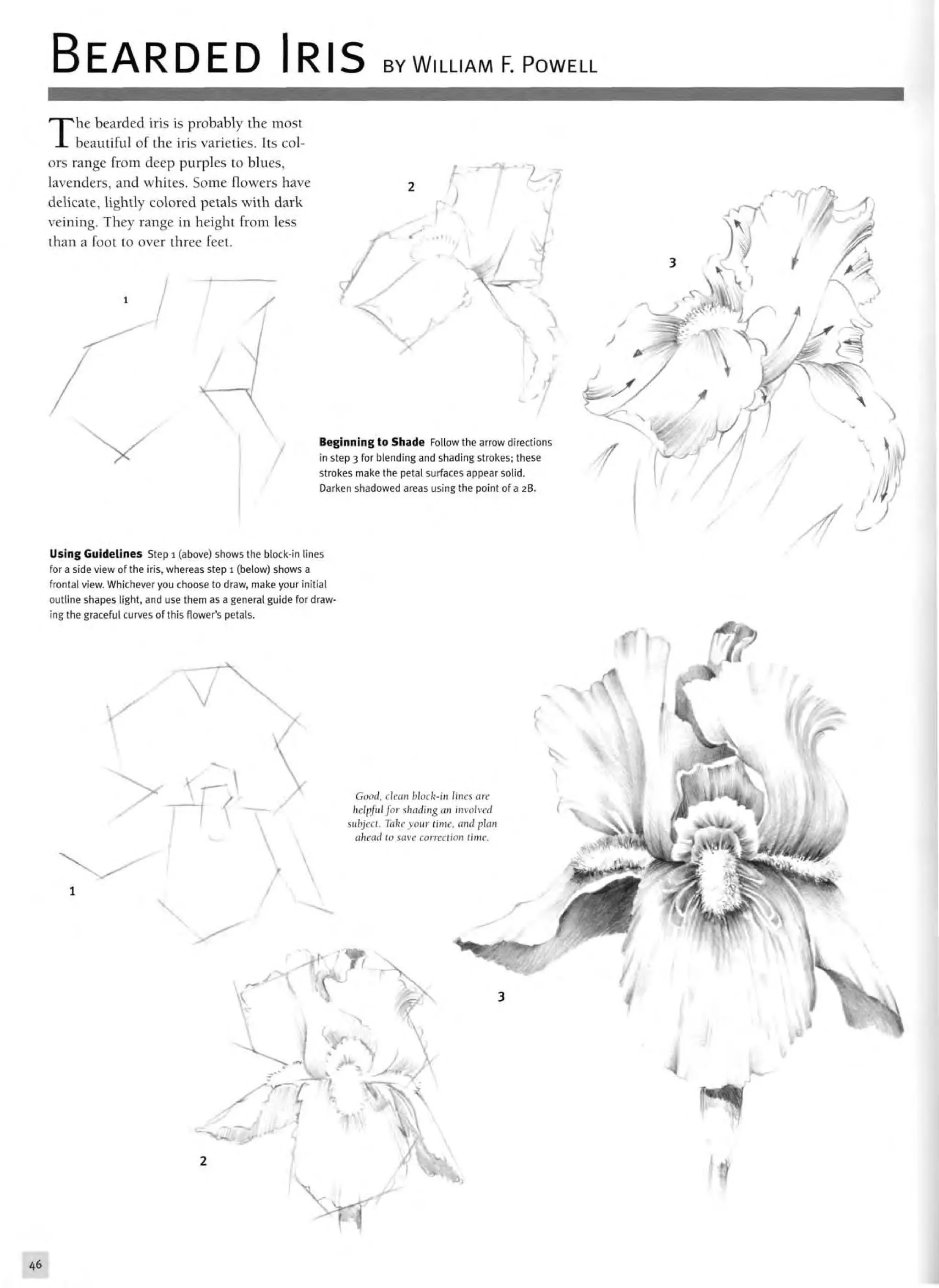 The art of basic drawing | PDF | Drawing and Sketching | Arts and Crafts