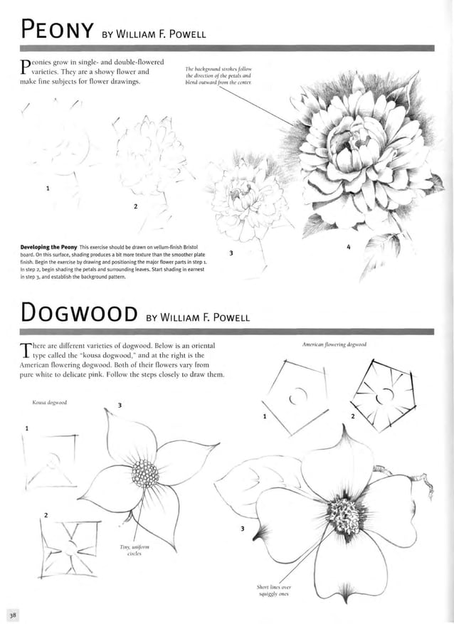 The art of basic drawing | PDF | Drawing and Sketching | Arts and Crafts