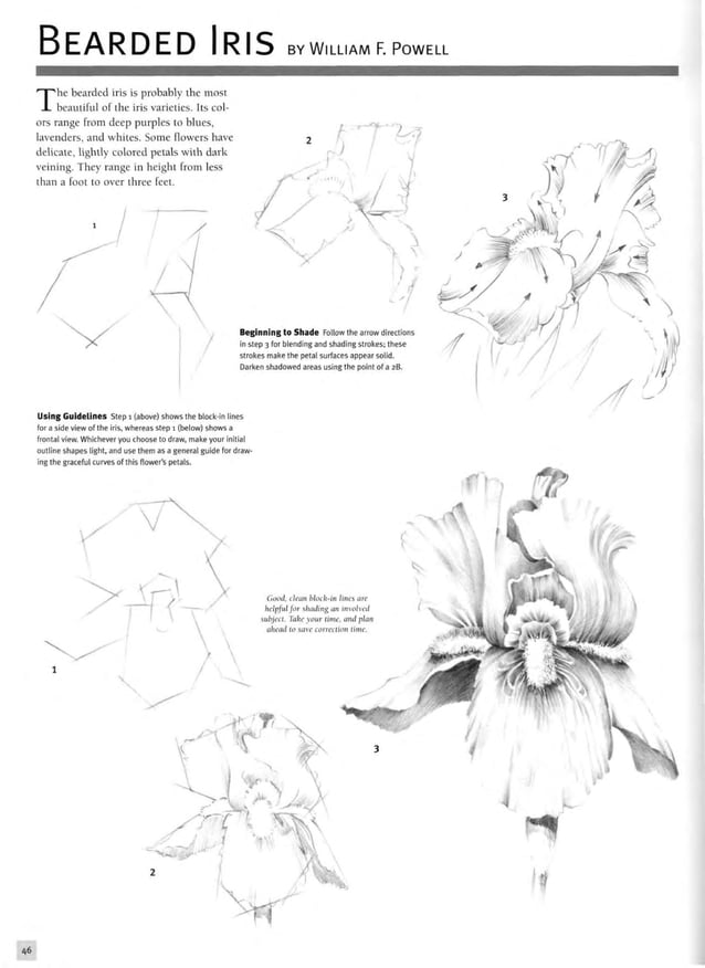 The art of basic drawing | PDF | Drawing and Sketching | Arts and Crafts