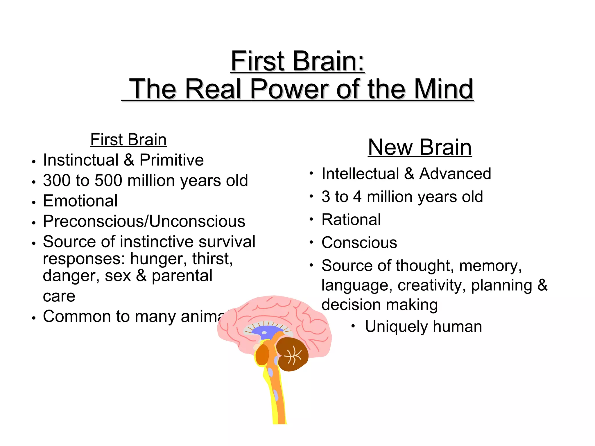 The Art Of Communication | PPT