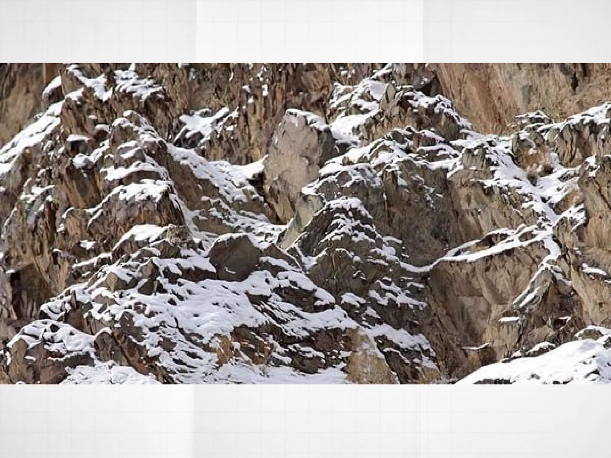 The art of disguise | PPT