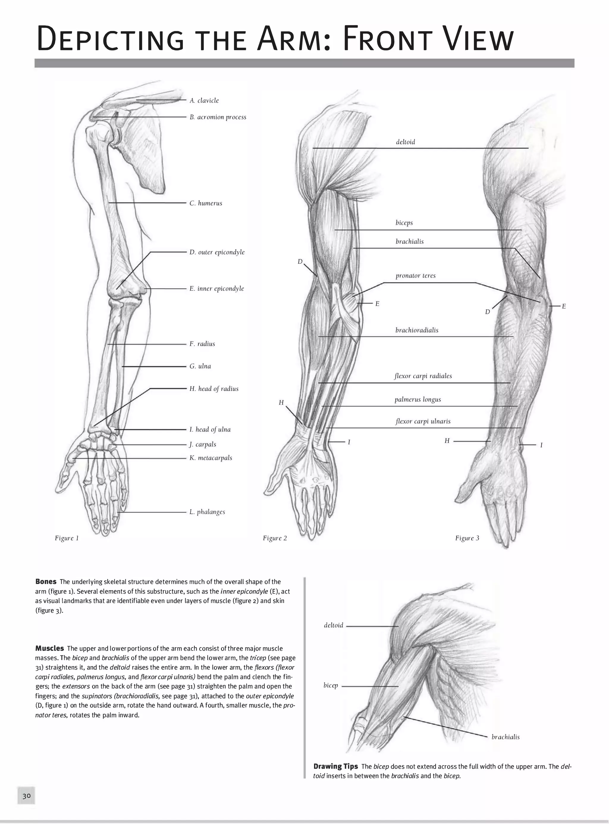 The art of drawing people | PDF
