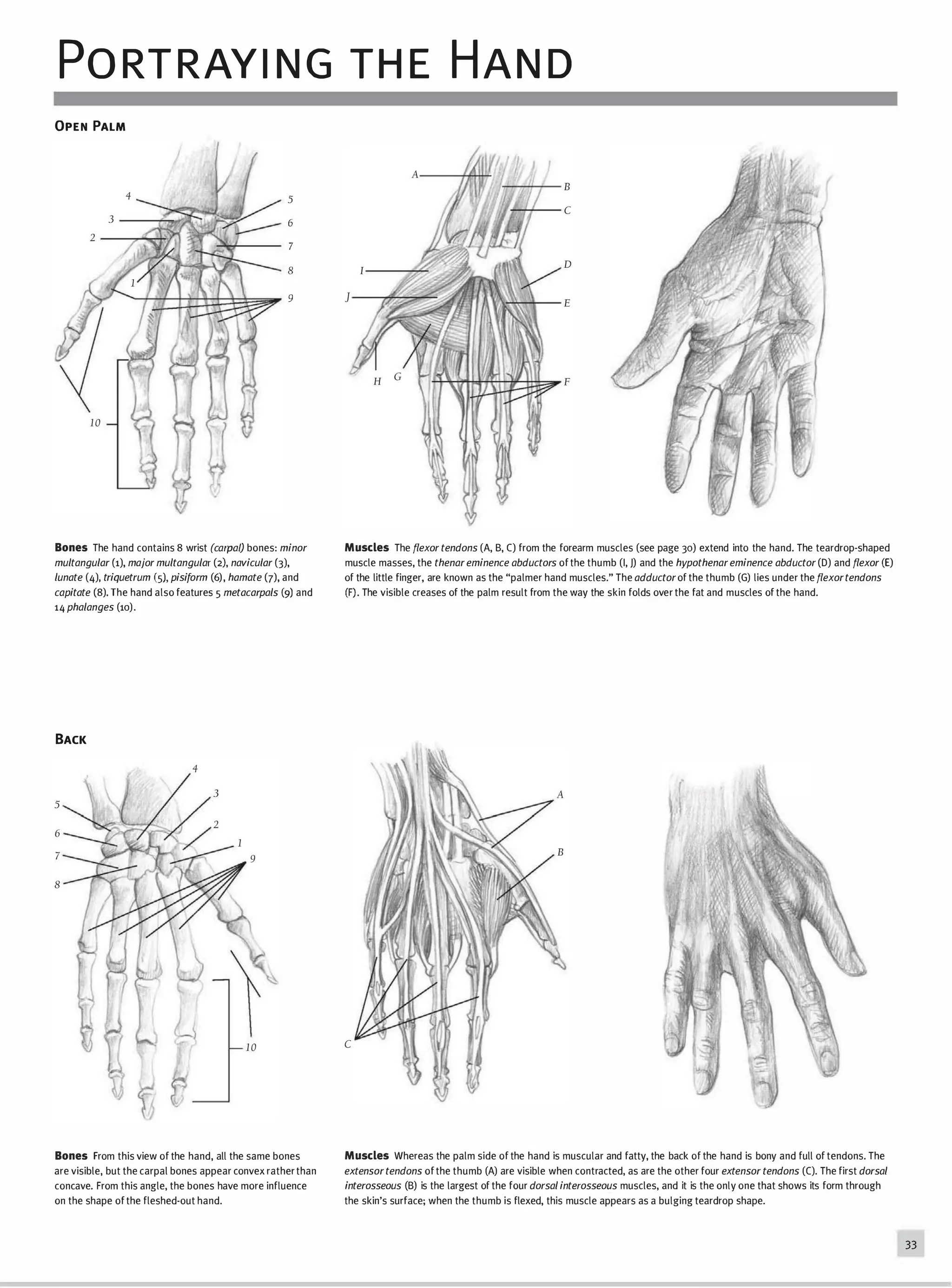 The art of drawing people | PDF